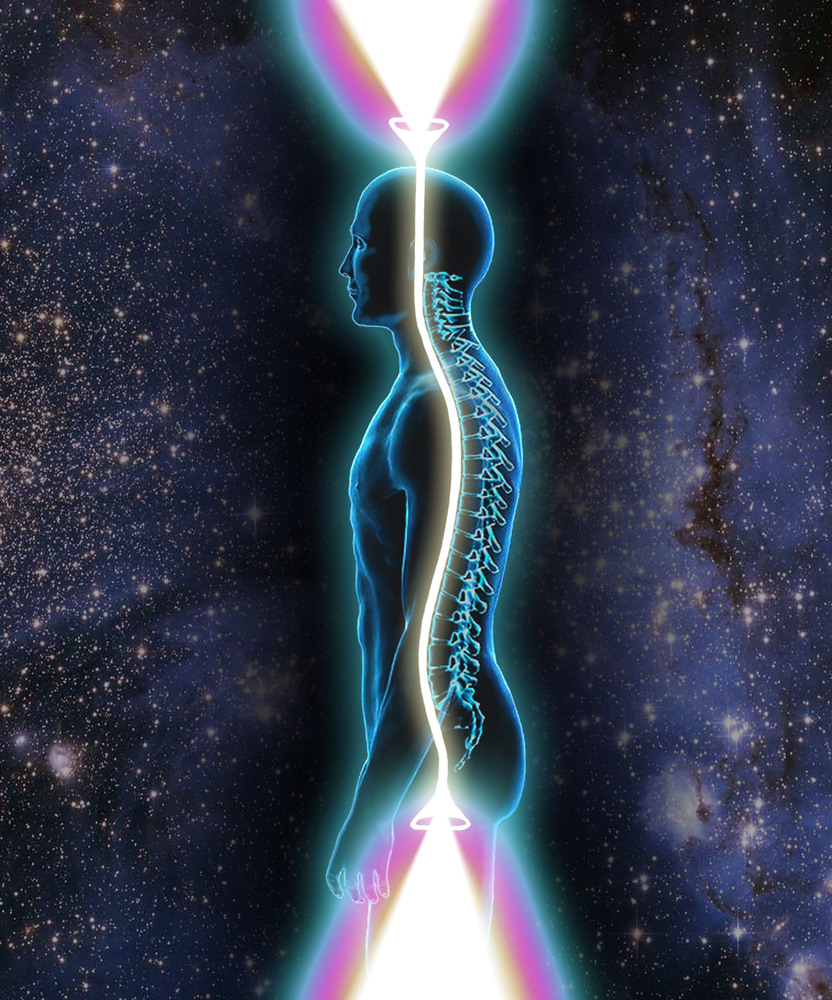 Firmly Attach Your Divine Line to the Front of Spine | Aleya Dao ...